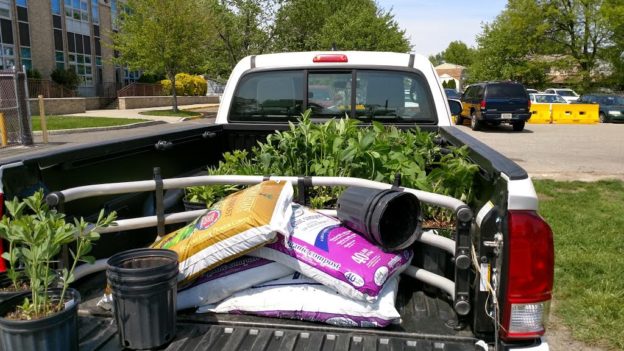 Coyle Park Planting | The Meadowlands Nature Blog