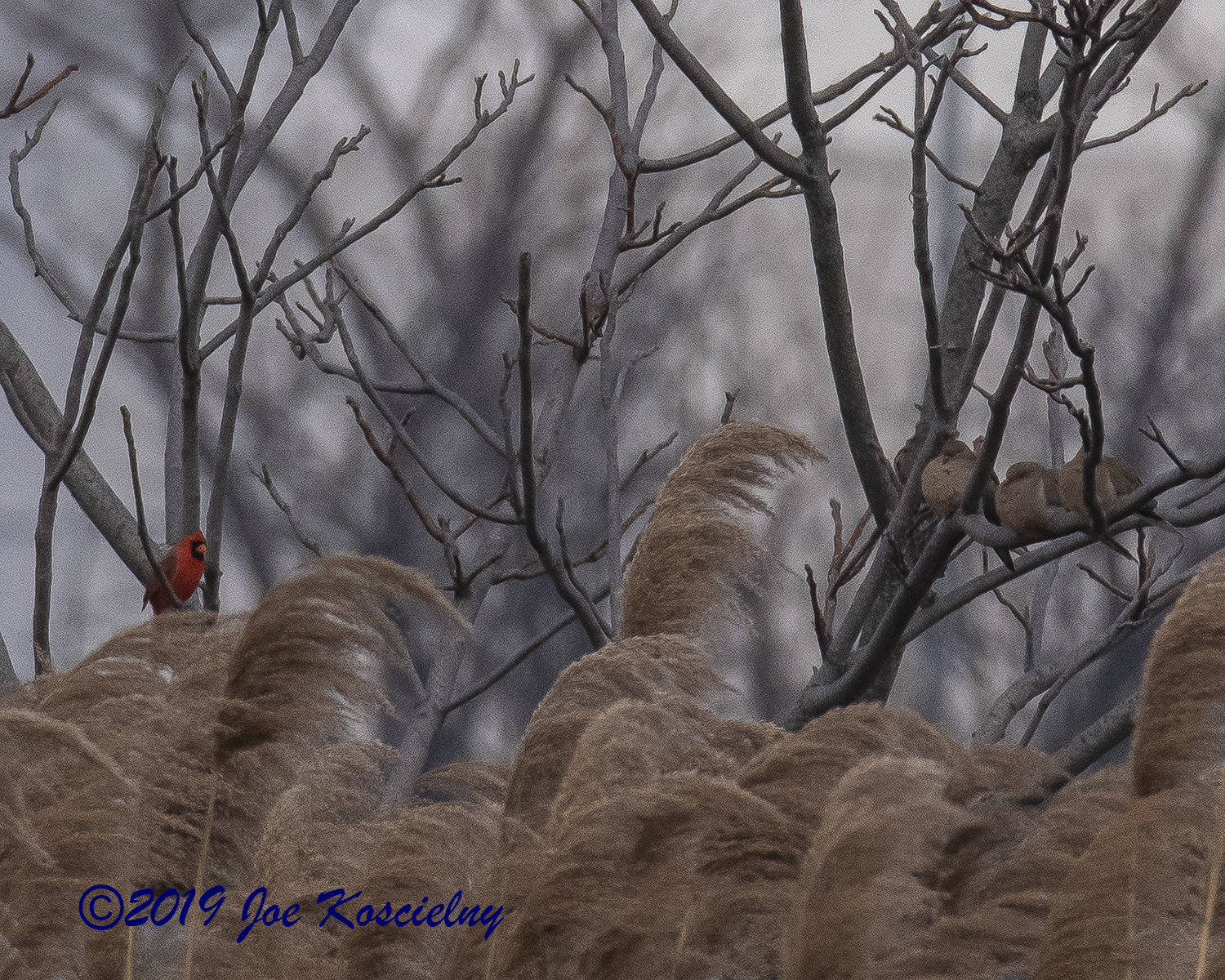 The Long and Short of It | The Meadowlands Nature Blog
