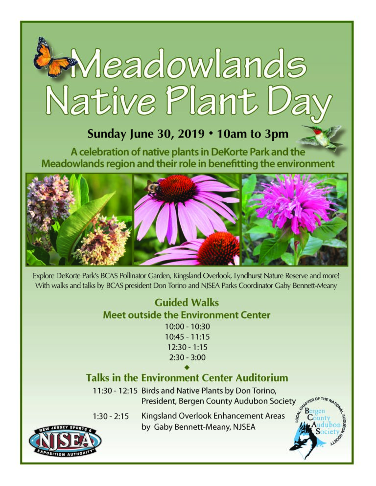 native-plant-day-is-this-sunday-the-meadowlands-nature-blog