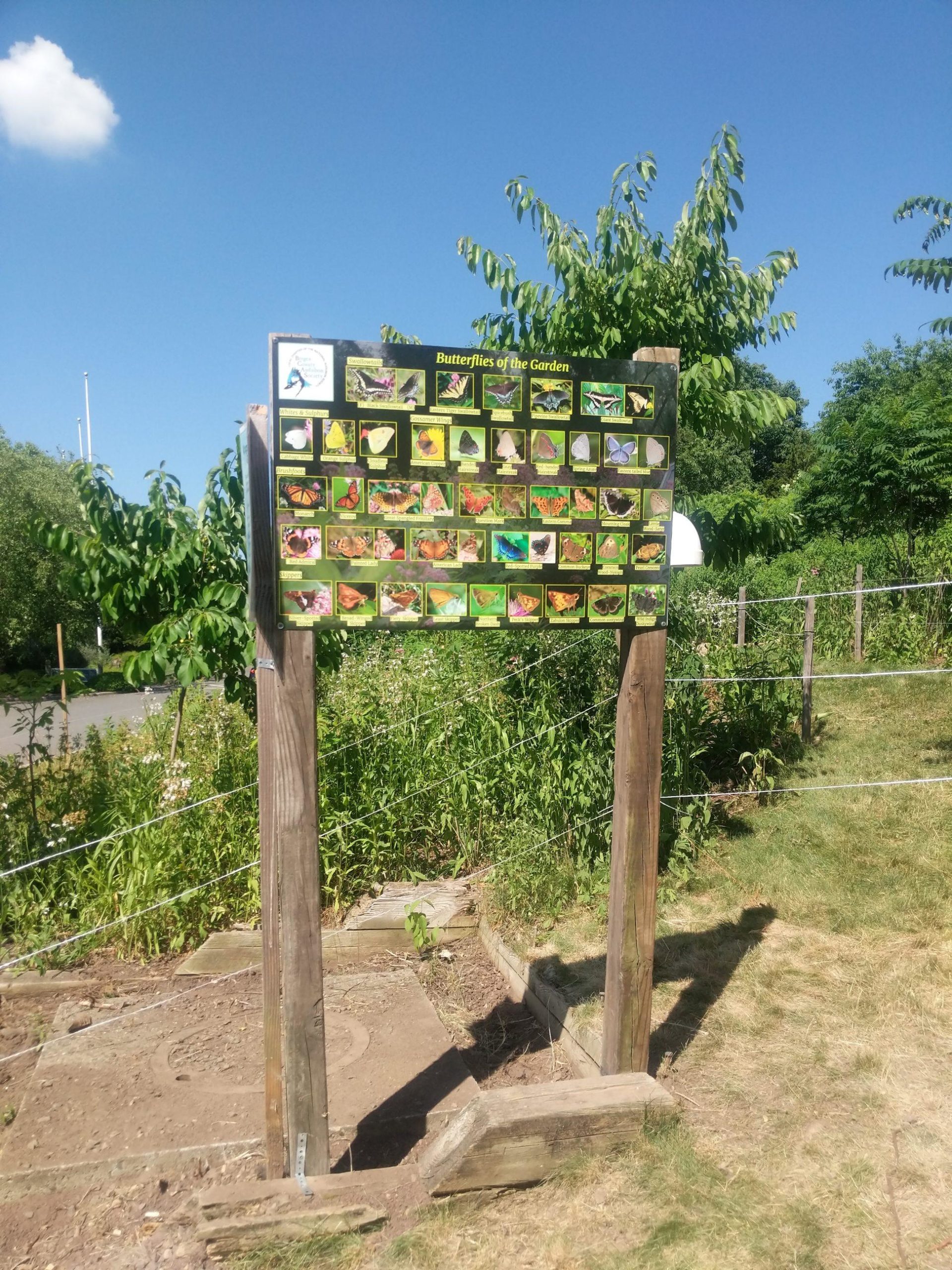 23 | June | 2020 | The Meadowlands Nature Blog