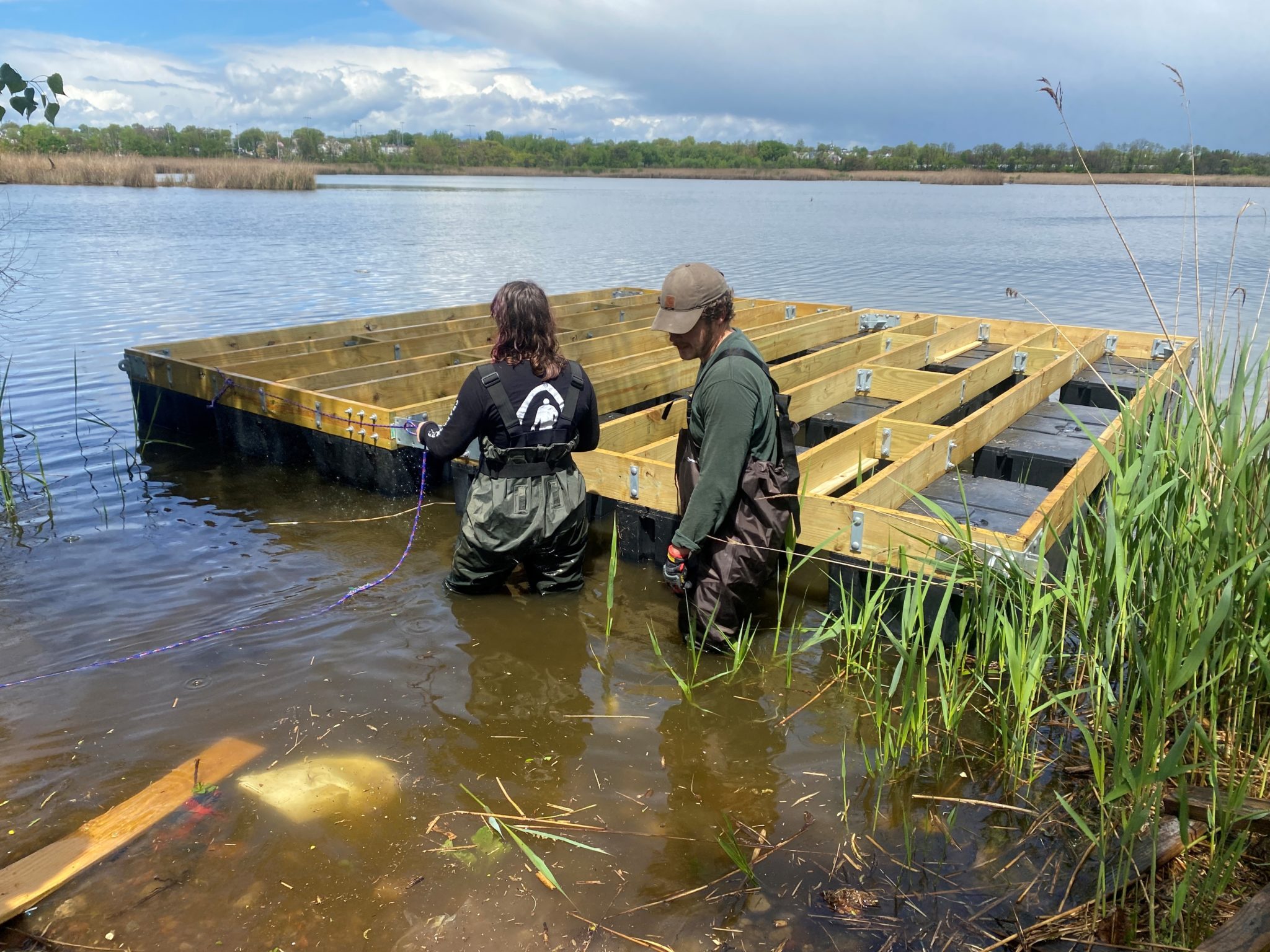 Kearny Marsh Artificial Floating Island Initiative Taking Shape! | The ...